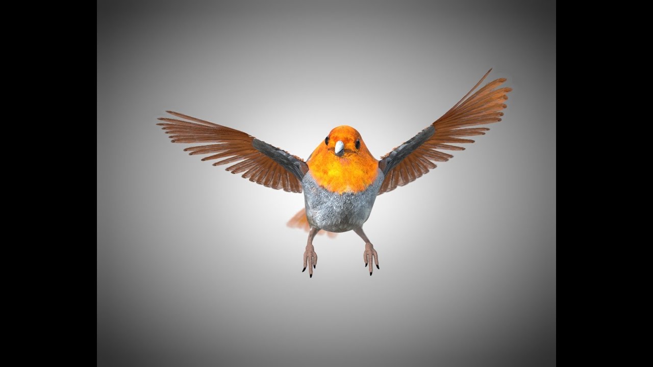 3D Model Finch PBR Bird Rigged Low poly at 3DExport.com
