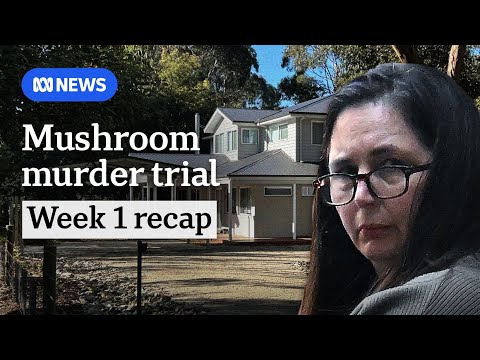 What happened at Erin Patterson's mushroom murder trial this week | ABC News