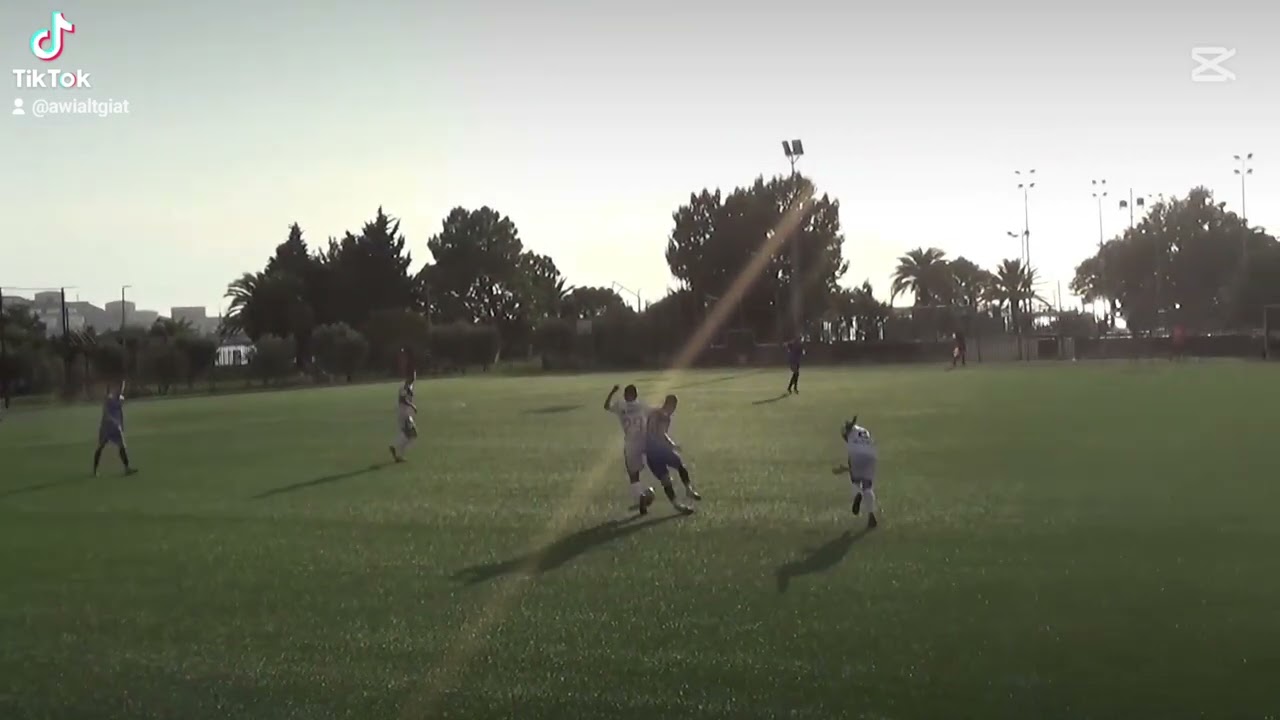 Rostislav Zamzhytski highlights cv