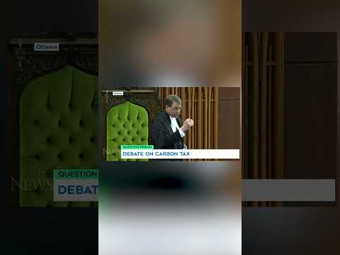 "Have some respect for this chamber" | Speaker scolds heckling MPs during question period #shorts