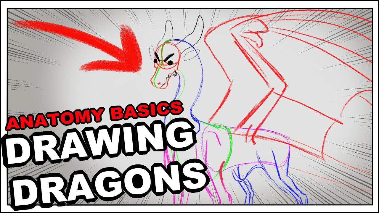 DRAWING DRAGONS - Anatomy Basics Art Tutorial, How I Do It!