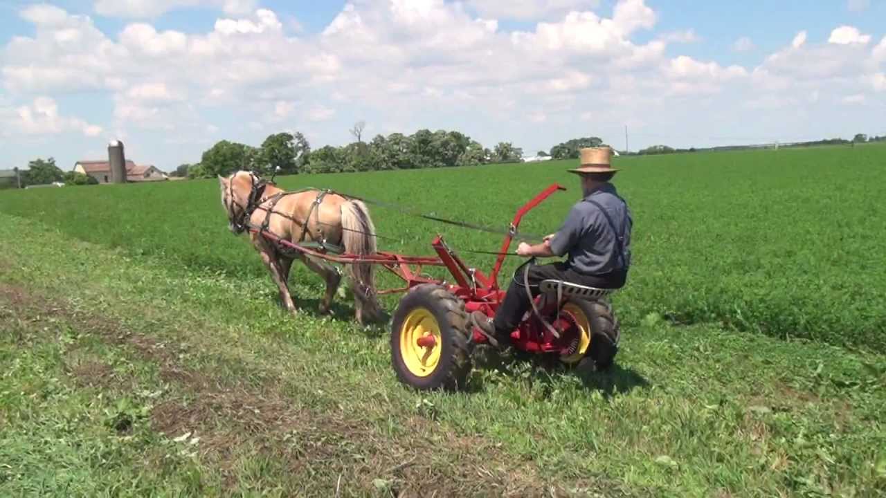 Testing The I&j Ground Drive Sickle Bar Mower With One Norwegian Fjord Horse