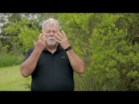 The Aroma Science Guy - Mark Webb - Lemon Scented Tea Tree