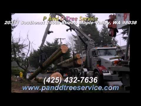 Tree_Service