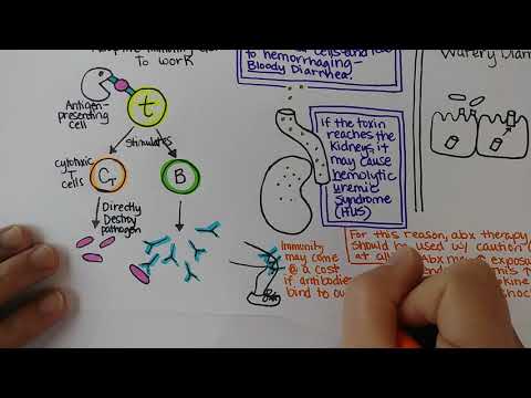 Diarrheal Diseases, Part 2