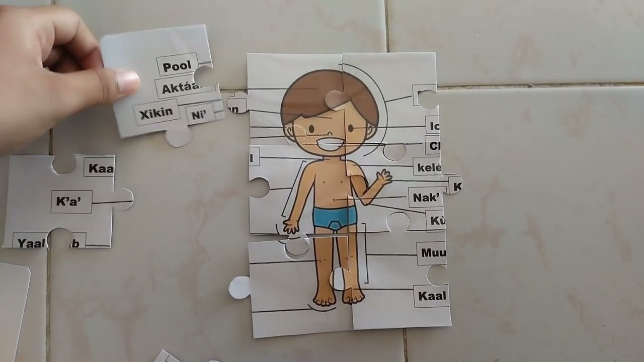 Rompecabezas del Cuerpo Humano en Maya