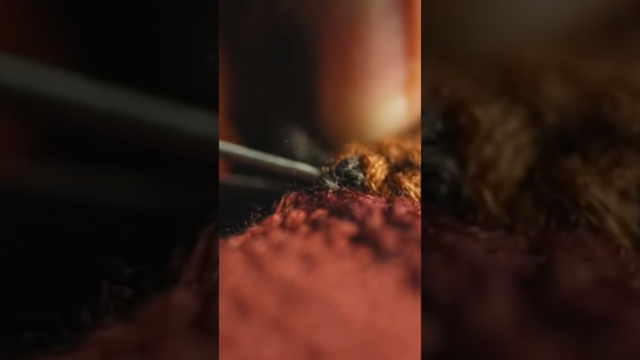 Full Scale Anatomy Build. #crochet #liver #anatomy #art #lifesize #organs #sculpture #extreme #yarn