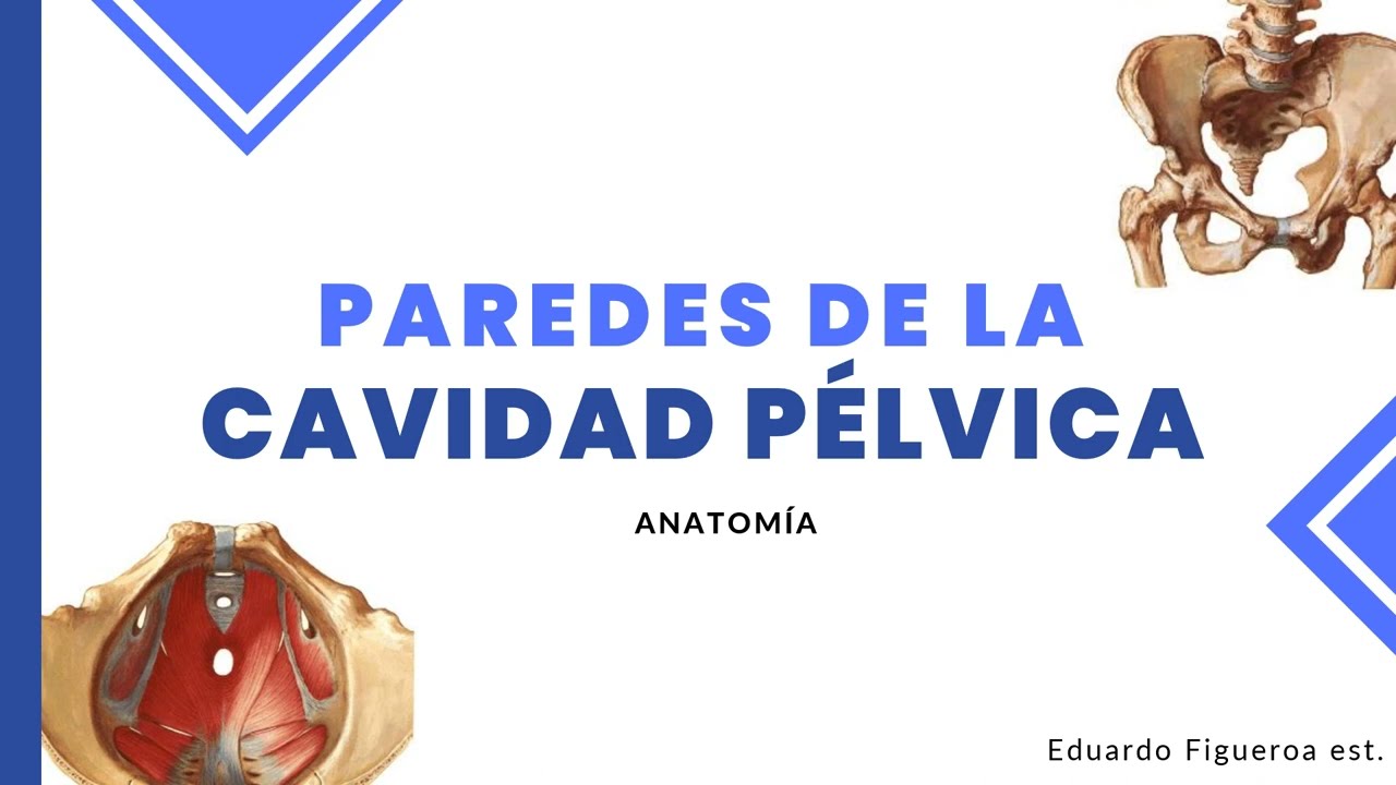 PAREDES DE LA CAVIDAD PÉLVICA - MOORE