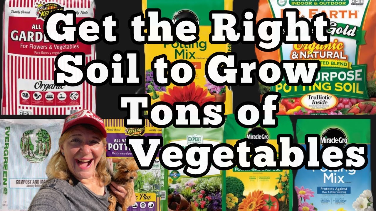 Know This~Potting Mix vs Garden Soil Tips How to Container Garden Grow in Pots Buckets Tote & Ground