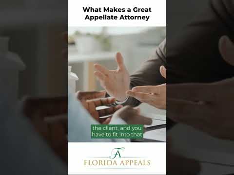 What Makes a Great Appellate Lawyer | Florida Appeals • Shannon McLin