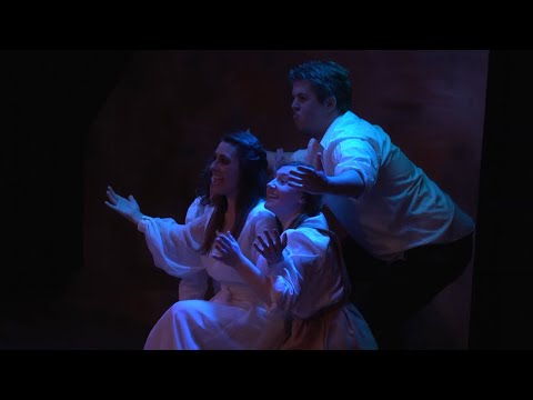 The seagull - TROY TrojanVision News