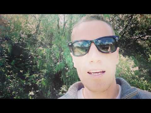 This is how & why i became a facilitator of Bufo Alvarius (toad ...