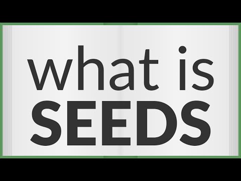Seeds | meaning of Seeds