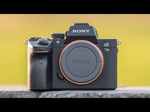 2 years with Sony A7 III: Still the benchmark (ILCE7M3B.CEC)