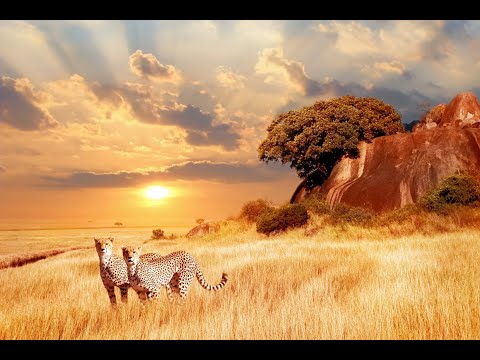 Mal d'Africa? Relax: musica africana per sognare e viaggiare senza muoversi