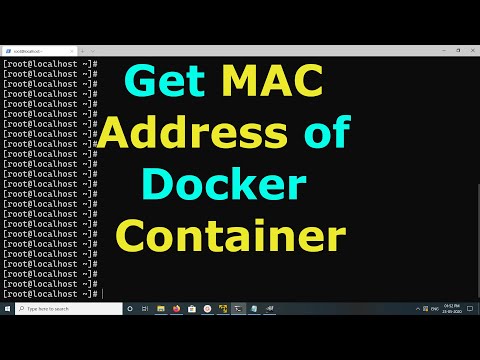 How to get MAC Address of a Docker Container