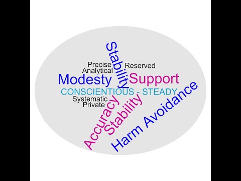 DiSC® - Understanding the CS (Conscientious / Steady) Style