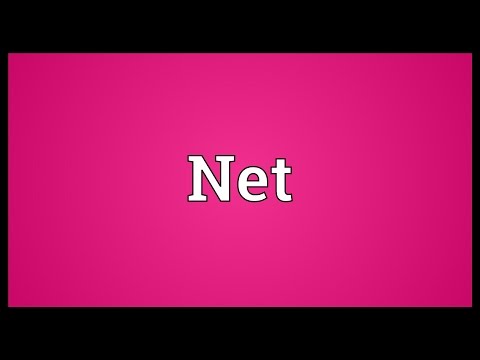 Net Meaning