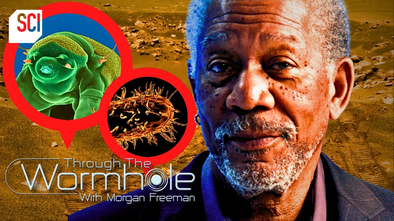 WATCH NOW 🔴 Answering Extra-Terrestrial Questions | Through the Wormhole | Science Channel