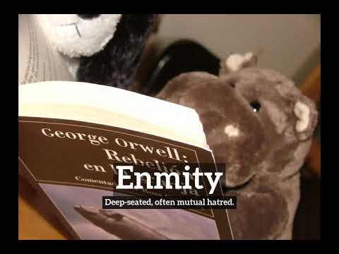 How Does Enmity Look? | How to Say Enmity in English? | What is Enmity?
