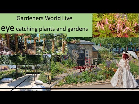 Gardeners World Live 2023 eye catching plants and gardens