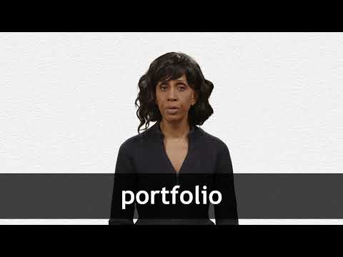 PORTFOLIO definition and meaning | Collins English Dictionary