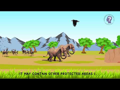 Difference Between National Park,Wildlife Sanctuary,Biosphere Reserve