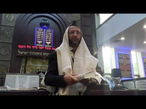 BUKHARIAN JEWISH COMMUNITY OF JAMAICA ESTATE