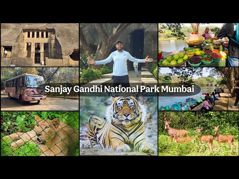 Sanjay Gandhi National Park Mumbai | Borivali | Tiger Safari | Kanheri Caves | Im_your_vijay