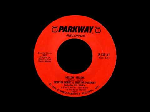 Senator Bobby & Senator McKinley - Mellow Yellow (Donovan)