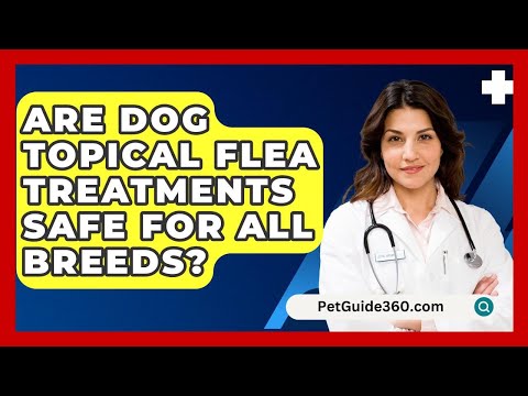 Are Dog Topical Flea Treatments Safe For All Breeds? - PetGuide360.com