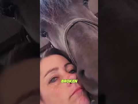A Soul Reunited: The Moment That Shook the Earth! #fyp #foryou #animals #wildanimals #animalworld