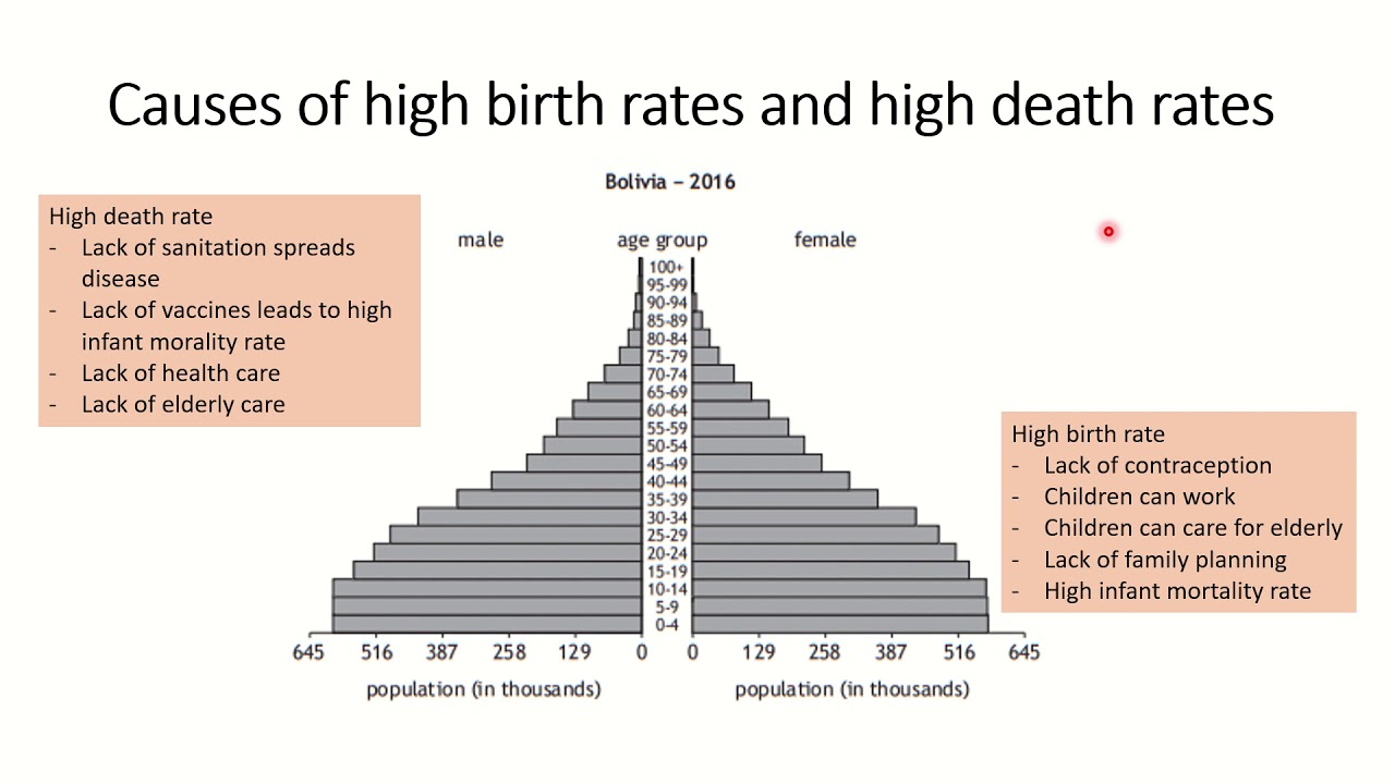N6 Population Assignment Introduction