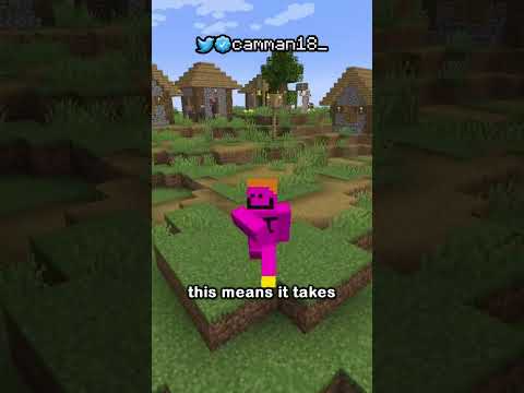 THE MOST USELESS ITEM
