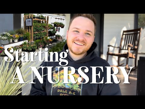 Starting my driveway nursery 🌱🪴 || small scale nursery