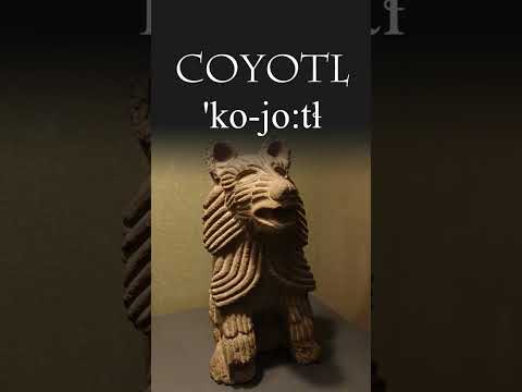 Nahuatl Word of the Week 63: COYOTL (Coyote)