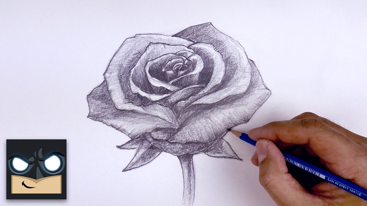 How To Draw A Rose | Beginner Pencil Sketch Tutorial (Step-by-Step)
