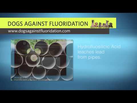 Dr. James Williams DDS one of the Founding Fathers of Fluoridation in Dallas
