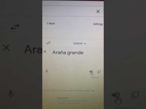 Big spider in Spanish is now Ariana Grande