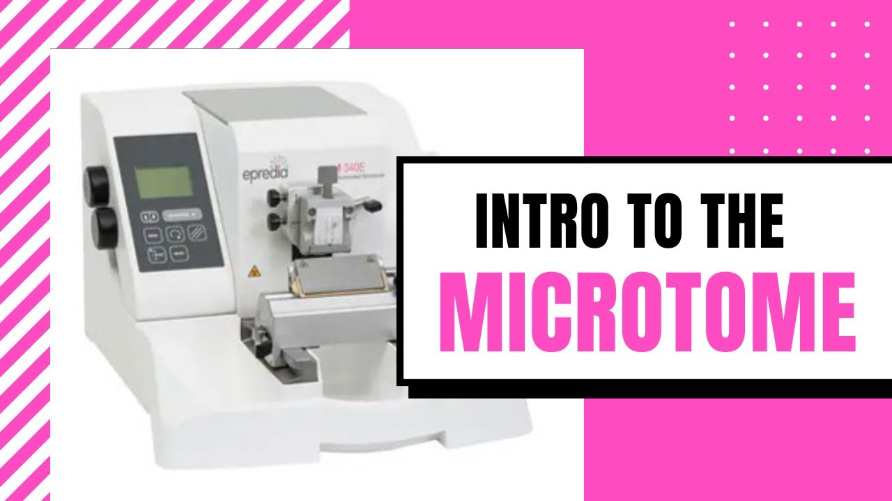 Introduction to the Microtome-Histology