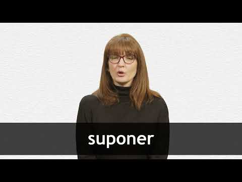 English Translation of “SUPONER” | Collins Spanish-English Dictionary