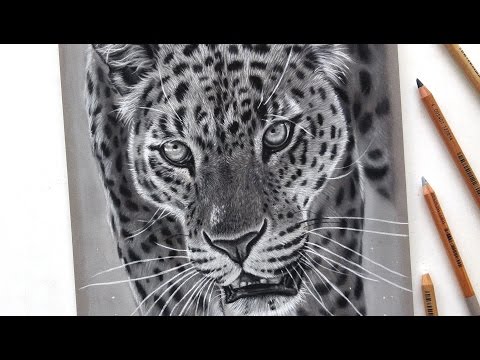 Realistic leopard drawing with pastel pencils | Leontine van vliet