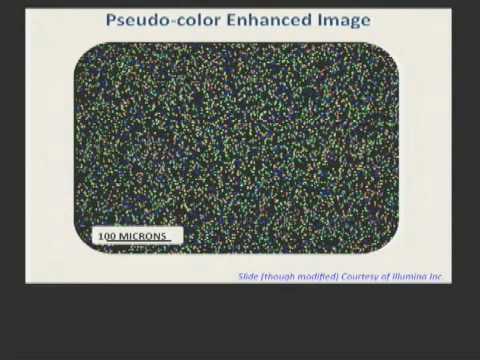 Next-Generation Sequencing Technologies - Elaine Mardis (2010)