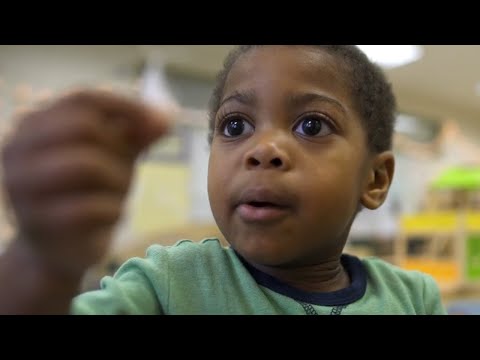 What's the Role of a Teacher? Did this teacher do the right thing?