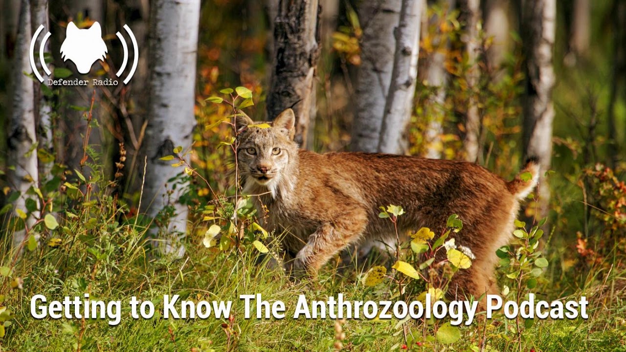 Getting To Know The Anthrozoology Podcast