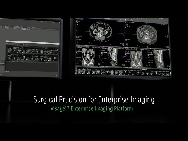 Visage 7 Pricing, Reviews, & Features in 2022