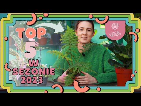 Najmodniejsze rośliny sezonu! Wasze TOP 5 ulubionych roślin w 2023 💪 ...
