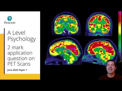 Edexcel AL Psychology 2 mark explain question