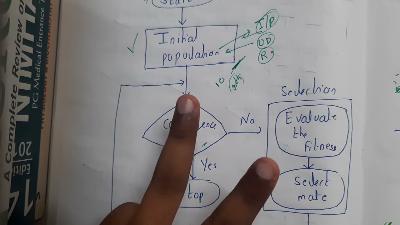 4.2 Flow chart of Genetic Algorithm