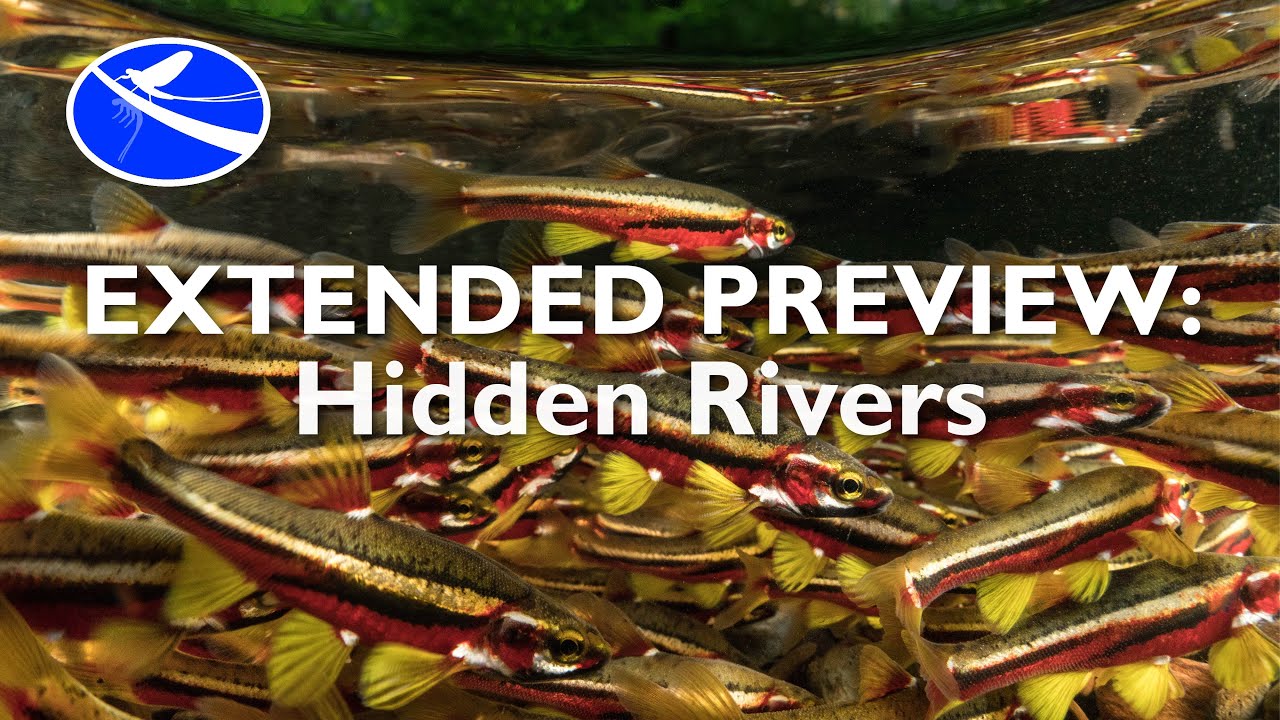 Hidden Rivers of Southern Appalachia [EXTENDED PREVIEW]